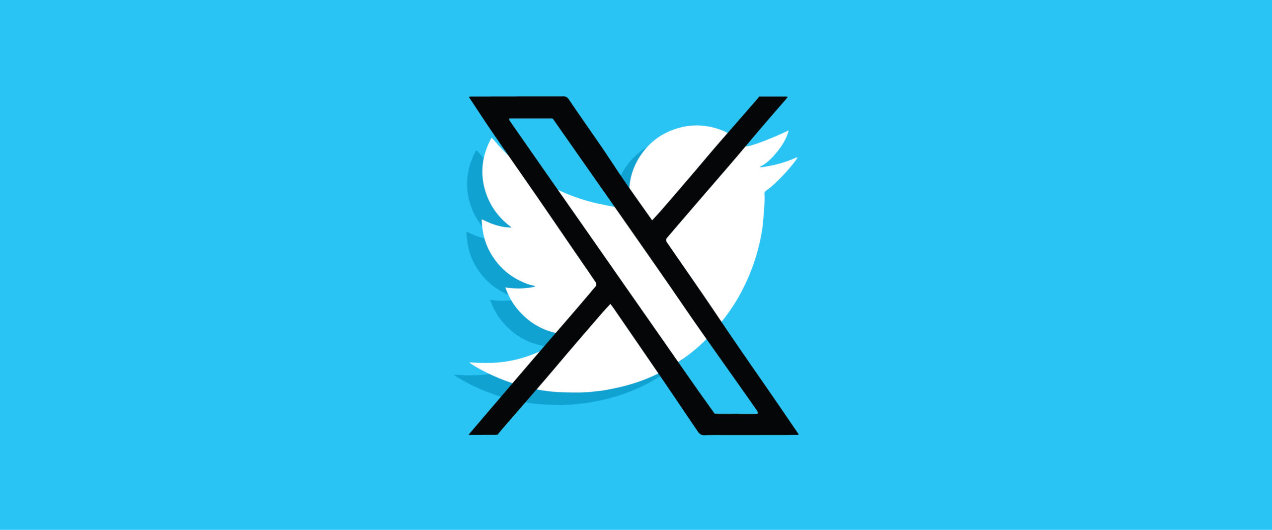 Twitter's Evolution: Unveiling the Transformation into X