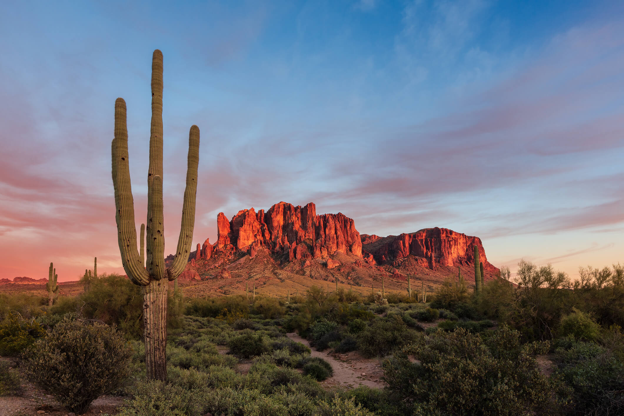 Exploring Arizona Through a Lens: Instagram-Worthy Pictures